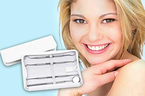 Essential Home Use 4pc Dental Hygiene Oral Care Kit Plaque Remover Tooth Set