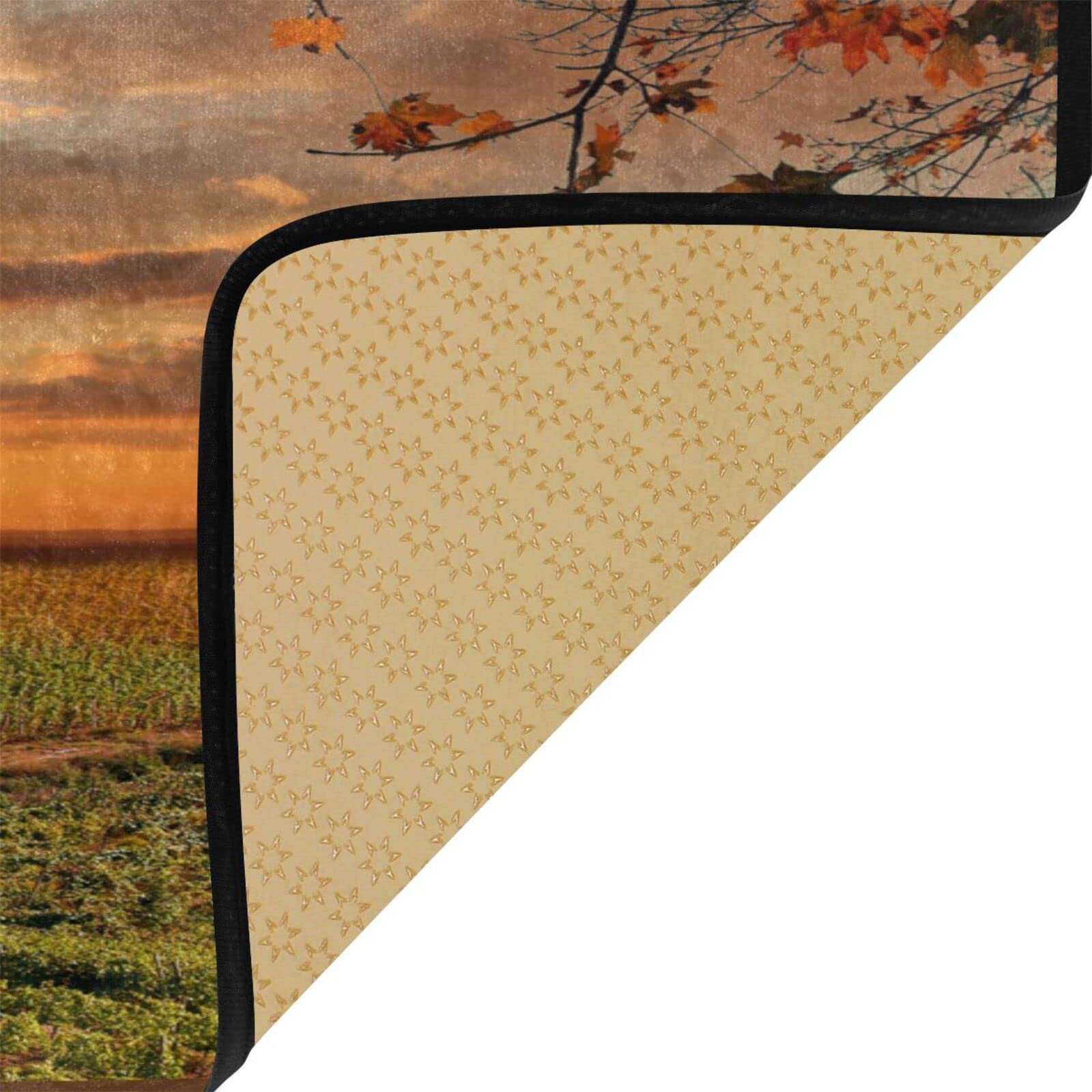 ALAZA White Wine Barrel Vineyard Kitchen Rugs Floor Mat,Non Slip Absorbent Comfort Standing Mat Kitchen Runner Rug for Hallway Entryway Bathroom Living Room Bedroom,39 X 20 Inches