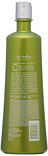 ColorProof Color Care Authority Baobab Heal & Repair Condition, 25.4oz