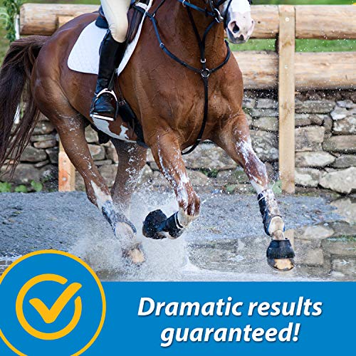 Farnam Fluidflex Liquid Joint Supplement for Horses, Helps Maintain Healthy Hip & Joint Function, 32 Ounces 32 Day Supply
