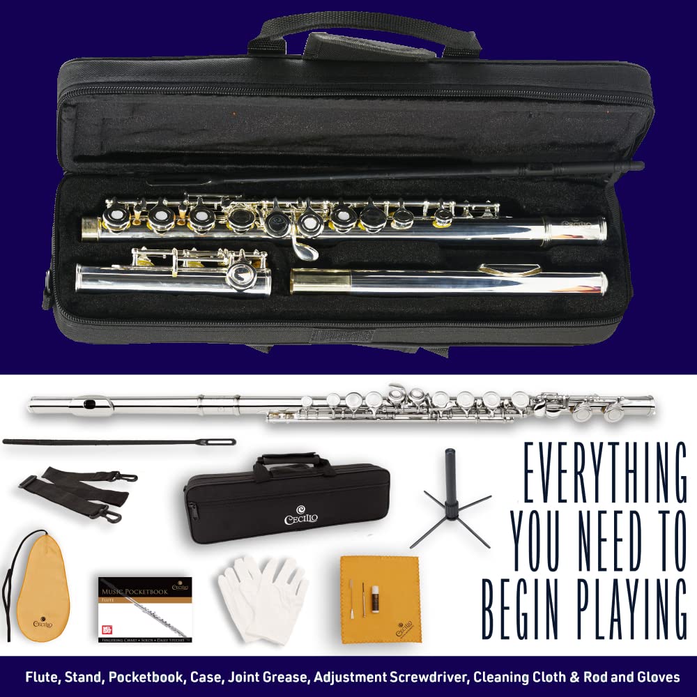 Cecilio Closed Hole C Flute - Musical Instrument, Kids Beginner/Intermediate Flute in Band & Orchestra, Nickel 
