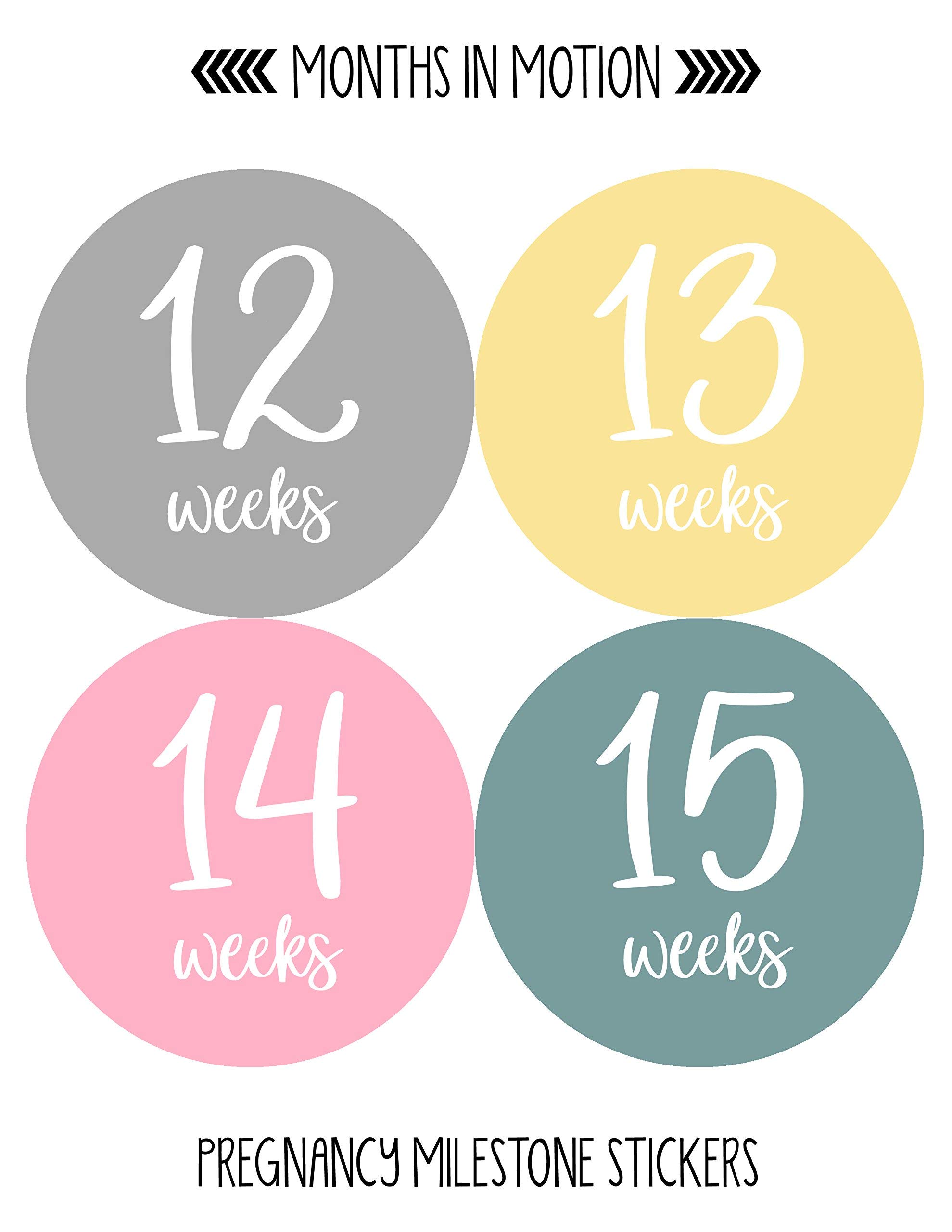 Months In Motion Pregnancy Weekly Belly Growth Stickers, 36 pcs - Purple Pink, Matte Finish, Cloth Surface, for Maternity Photo Sessions & Keepsakes