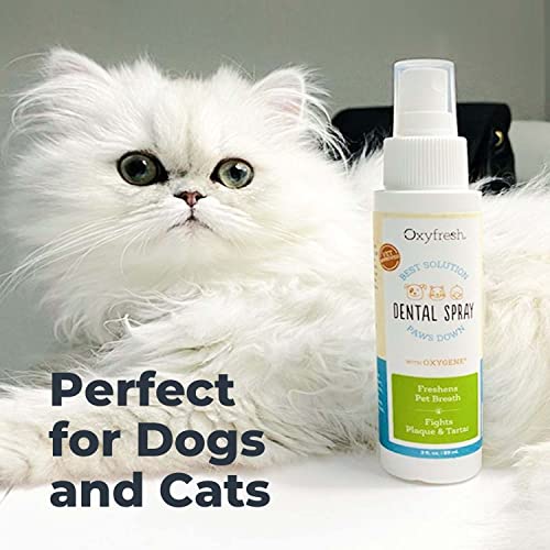 Oxyfresh Advanced Pet Dental Spray – Instant Pet Fresh Breath: Easiest No Brushing Pet Dental Solution for Dogs and Cats – Best Way to Fight Pet Plaque, Keep Teeth & Gums Healthy. 3oz.