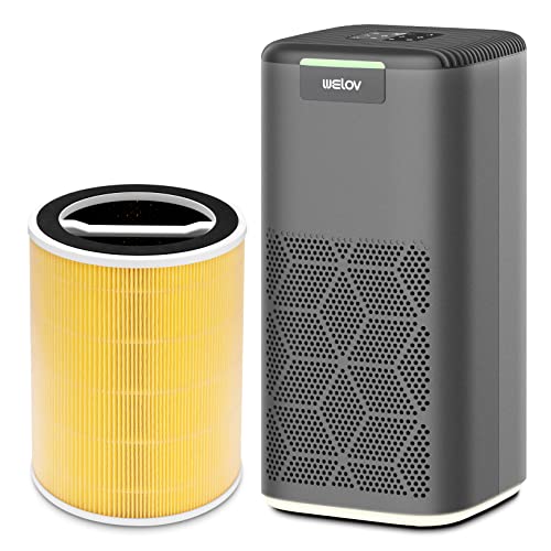 Welov P200S Air Purifiers for Home Large Room with An Extra H13 True HEPA Pet Care Filter Bundle