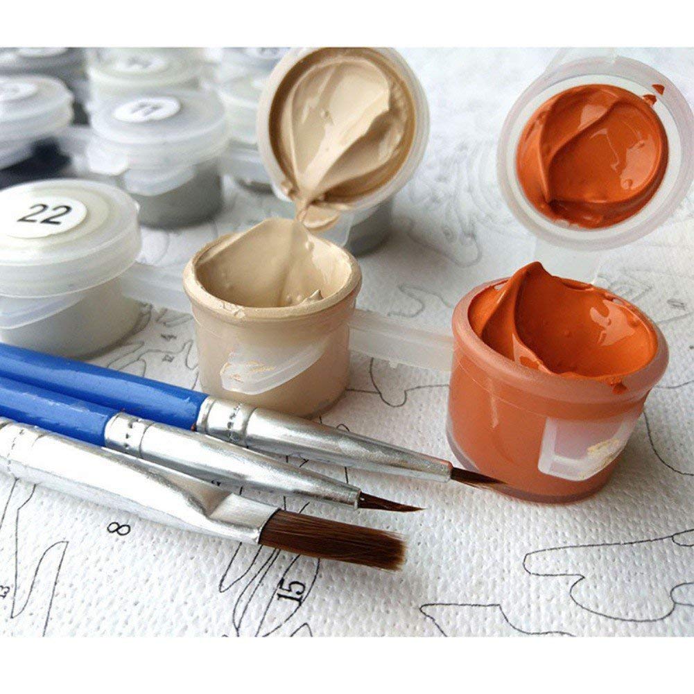 Crafts Paintworks Paint by Number Kit, Lotus and Dragonfly