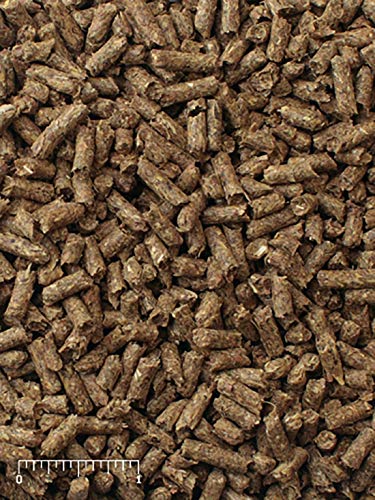 Mazuri | Nutritionally Complete Timothy Hay-Based Rabbit Food | 25 Pound (25 lb.) Bag
