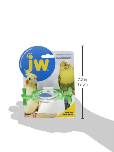 JW Pet Company Activitoy Rattle Mirror Small Bird Toy, Colors Vary