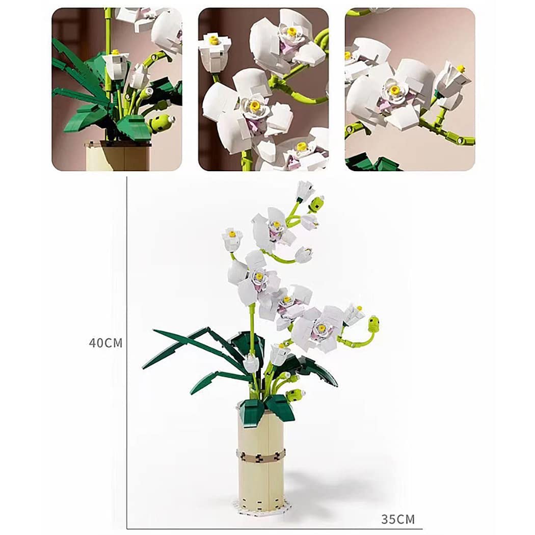 AIEWEV Flower Bouquet Building Kit, Phalaenopsis Orchid Bonsai Creative Building, DIY Building Blocks Education Toy, Botanical Gift Set for Decoration Office&Home, Holiday(588 pcs)
