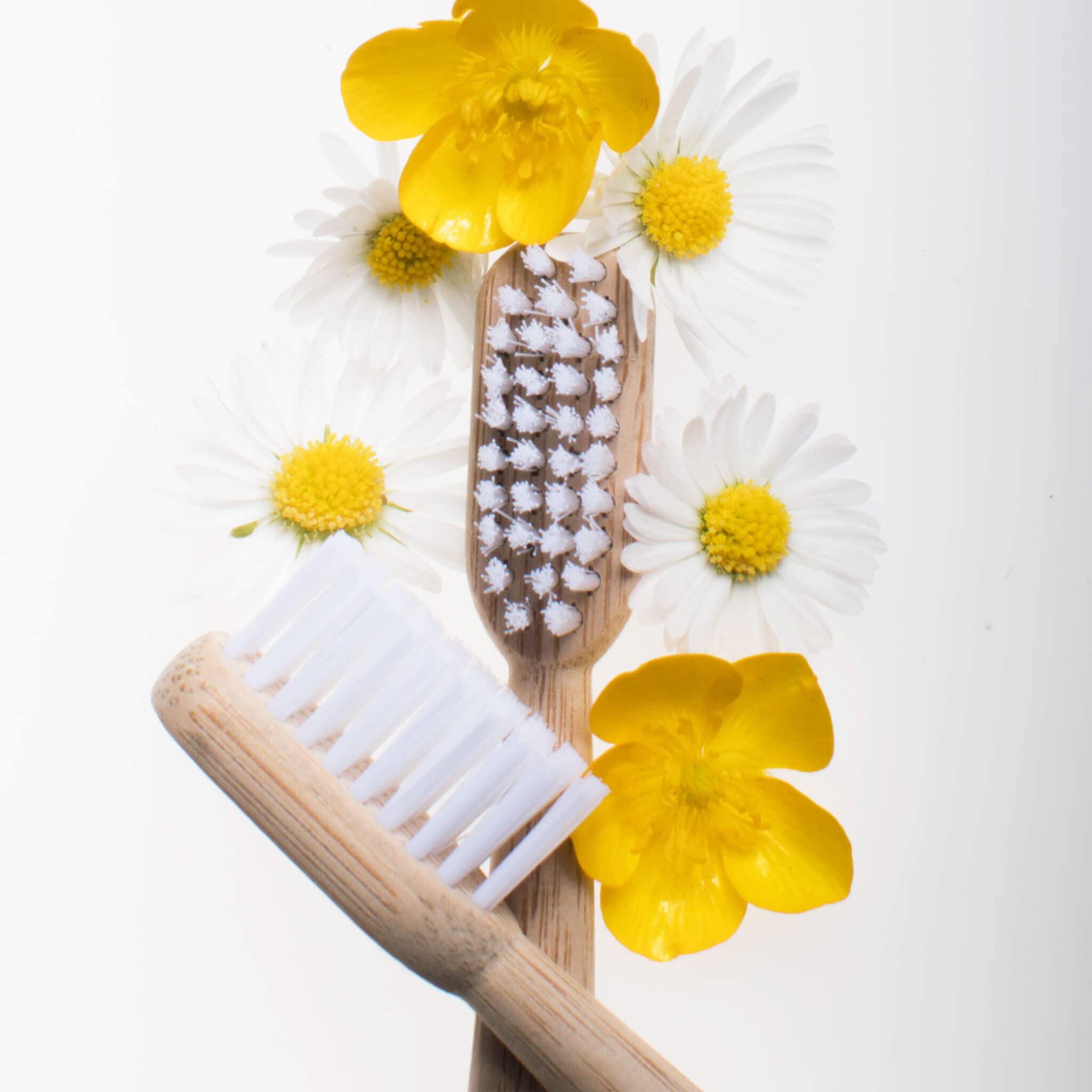 MABLE Bamboo Toothbrush, Adult Two Pack, BPA-Free Soft Bristle Toothbrushes, Eco-Friendly, Compostable Natural Wooden Toothbrush