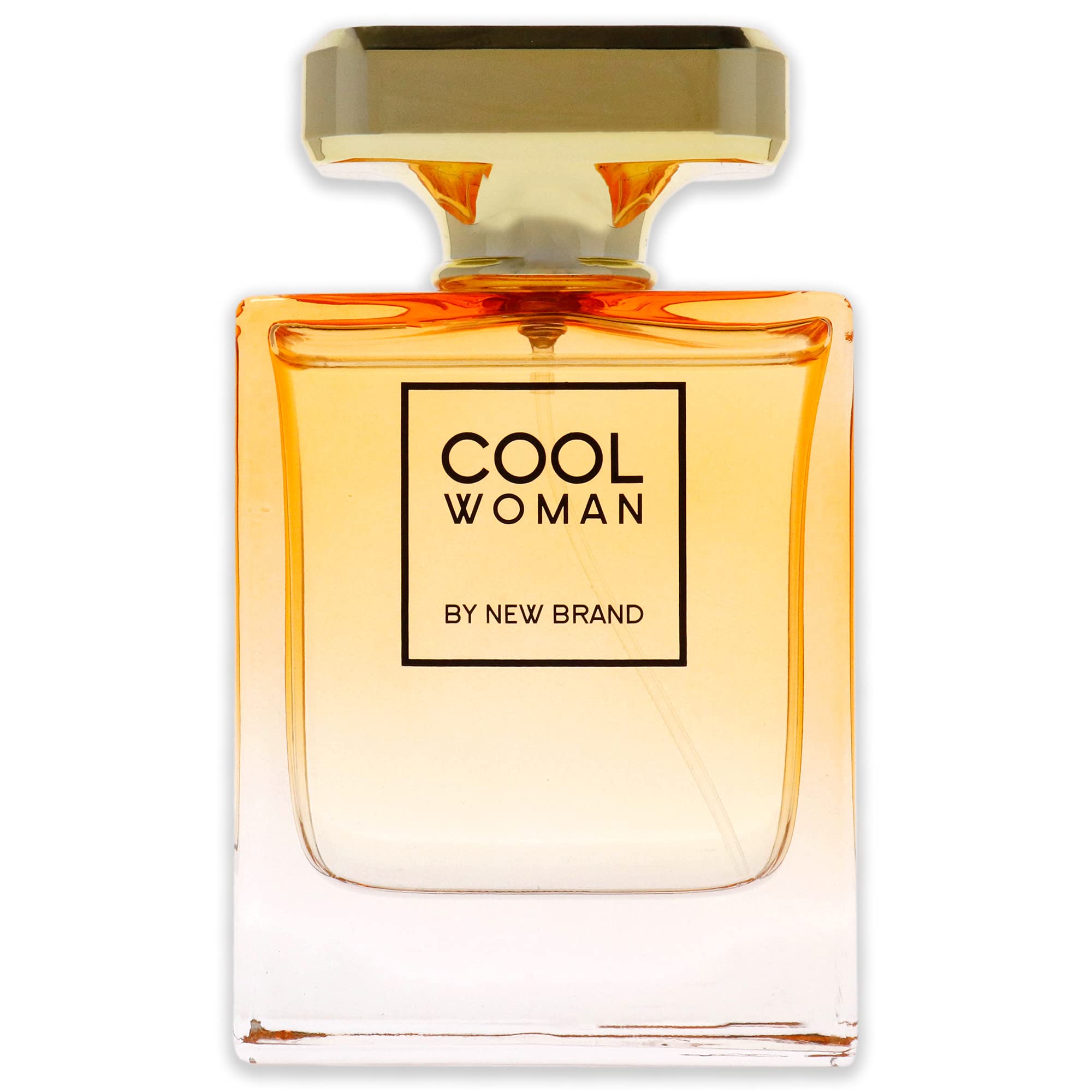 New Brand Perfumes Cool Women EDP Spray Women 3.3 oz (sem numero)