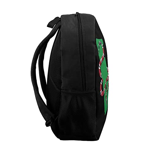 bziynez 17" Fashion Bookbag Lightweight Casual Laptop Backpack for Men and Women