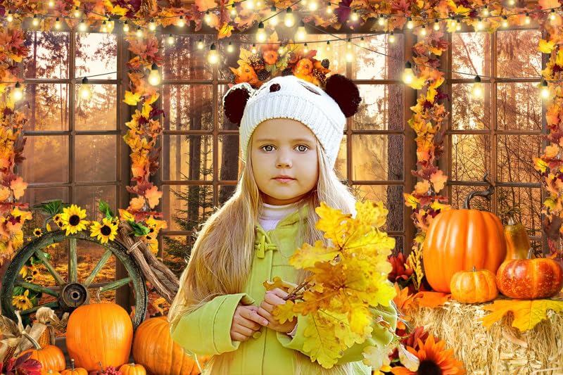 7x5ft Fall Window Photo Backdrop Autumn Forest Scenery Maple Leaves Pumpkin Harvest Photography Background Fall Theme Thanksgiving Day Party Decorations Banner Birthday Baby Shower Decor