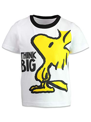 Peanuts Snoopy Charlie Brown Woodstock Toddler Boys T-Shirts 4 Pack 5T