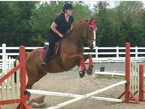 Lift Sports New Horse English Saddle Pad Set Matching Fly Bonnet Veil Ear Net Polyester Hand Made Crochet Full Size Equestrian Shows Tack
