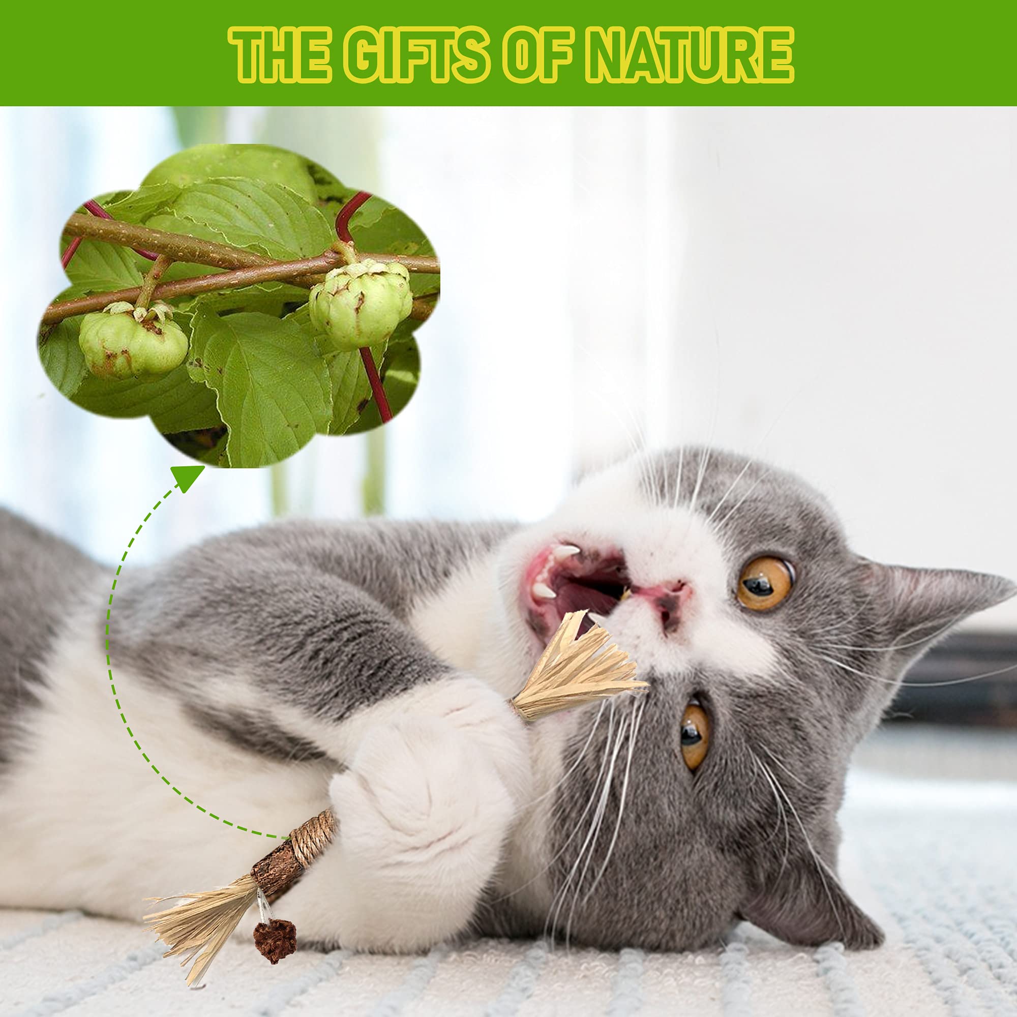 BAWAN Catnip Toys‖ Silvervine for Cats: Cute Cat & Kitten Toys for Indoor Cats Interactive‖ Cat & Kitten Teething Chew Toys for Aggressive Chewers‖ Silvervine Sticks Cat Dental Toy (5PCS)