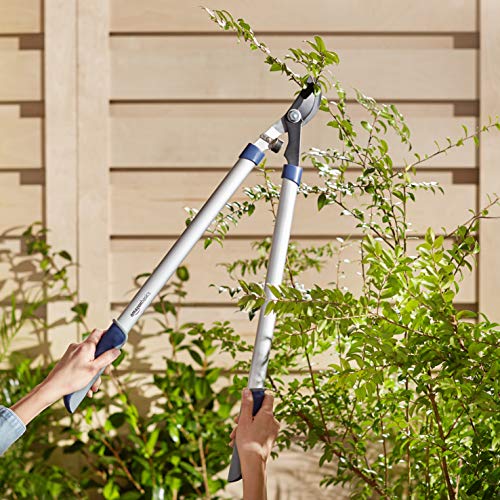 Amazon Basics Garden Tool Collection - Bypass Lopper, Tree Trimmer, With Carbon Steel non-Stick Coating Blade, Aluminum tube handle with Comfort Grips 28'', White