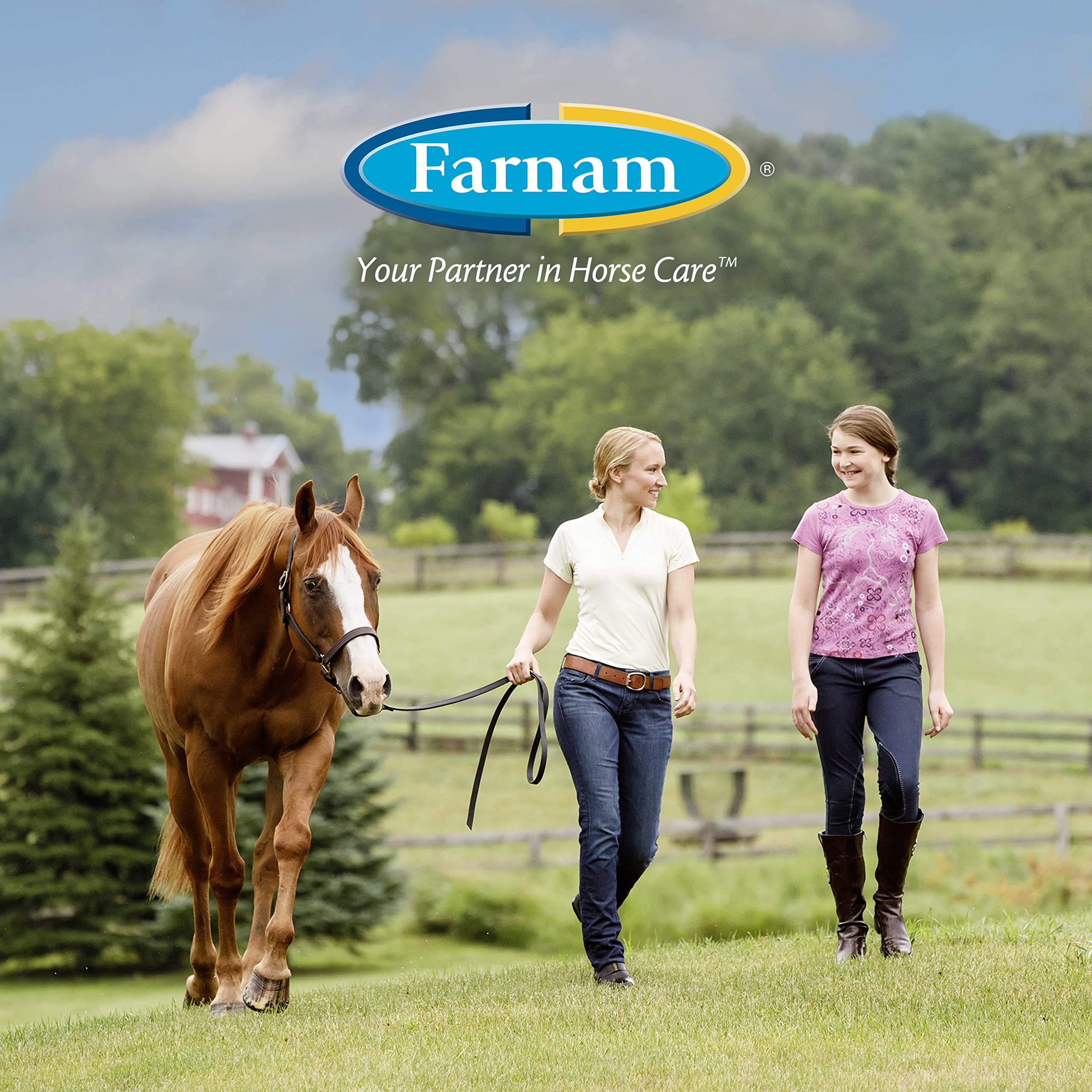 Farnam Horseshoer's Secret Pelleted Hoof Supplements Concentrate, Economic formula with 25 mg. of biotin per 2 ounce serving, 11.25 lb, 90 day supply
