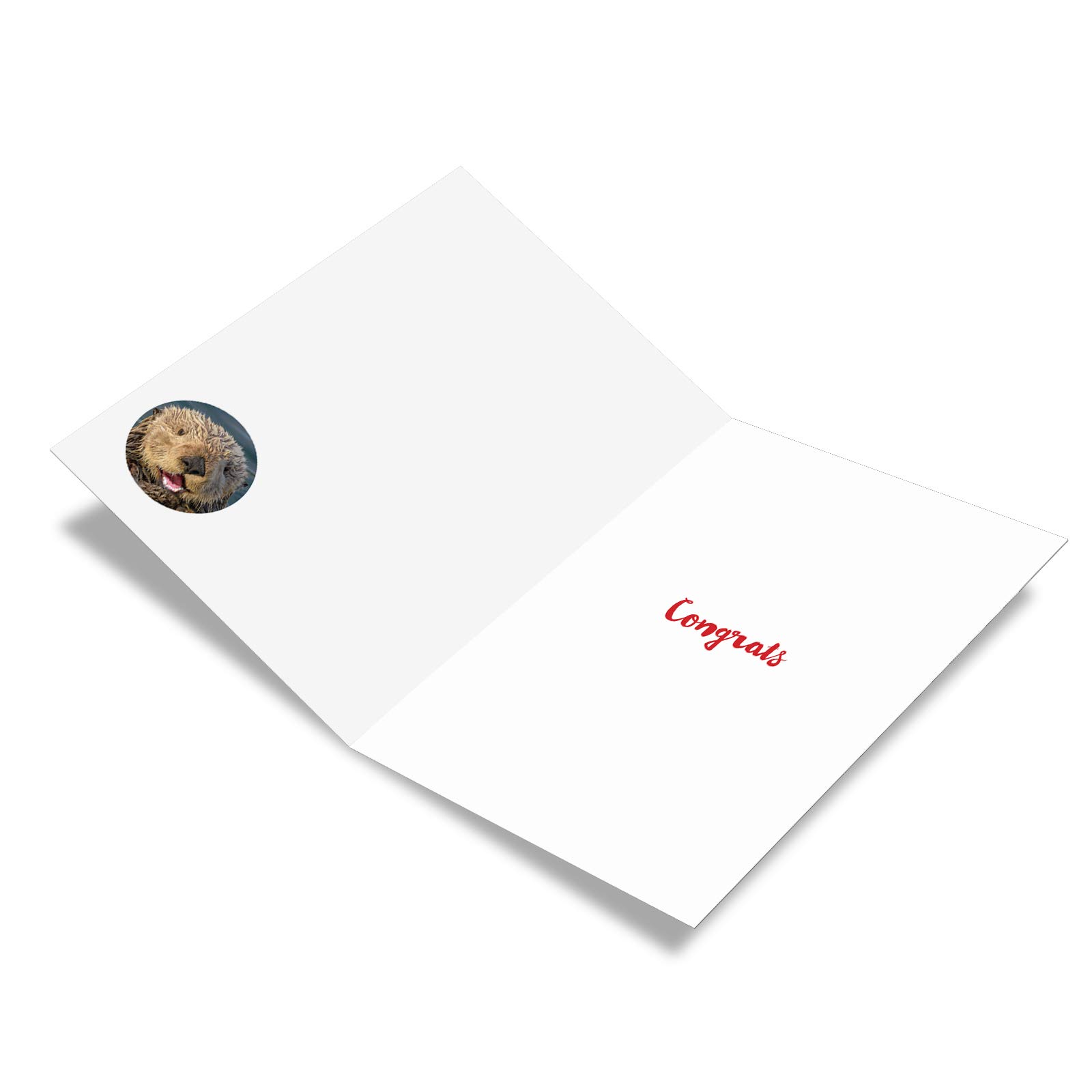 NobleWorks - Fun Congratulations Card with Envelope - Congrats Humor, Encouragement Greeting - Otterly Awesome C6574FCGG
