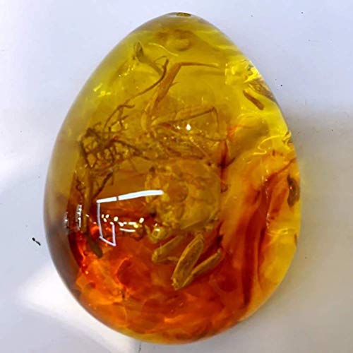 VORCOOL Amber Fossil with Insects Samples Stones Crystal Specimens Home Decorations Collection Oval Pendant for Kids (Random Pattern,8 x 6 x 1.8cm,1pc)