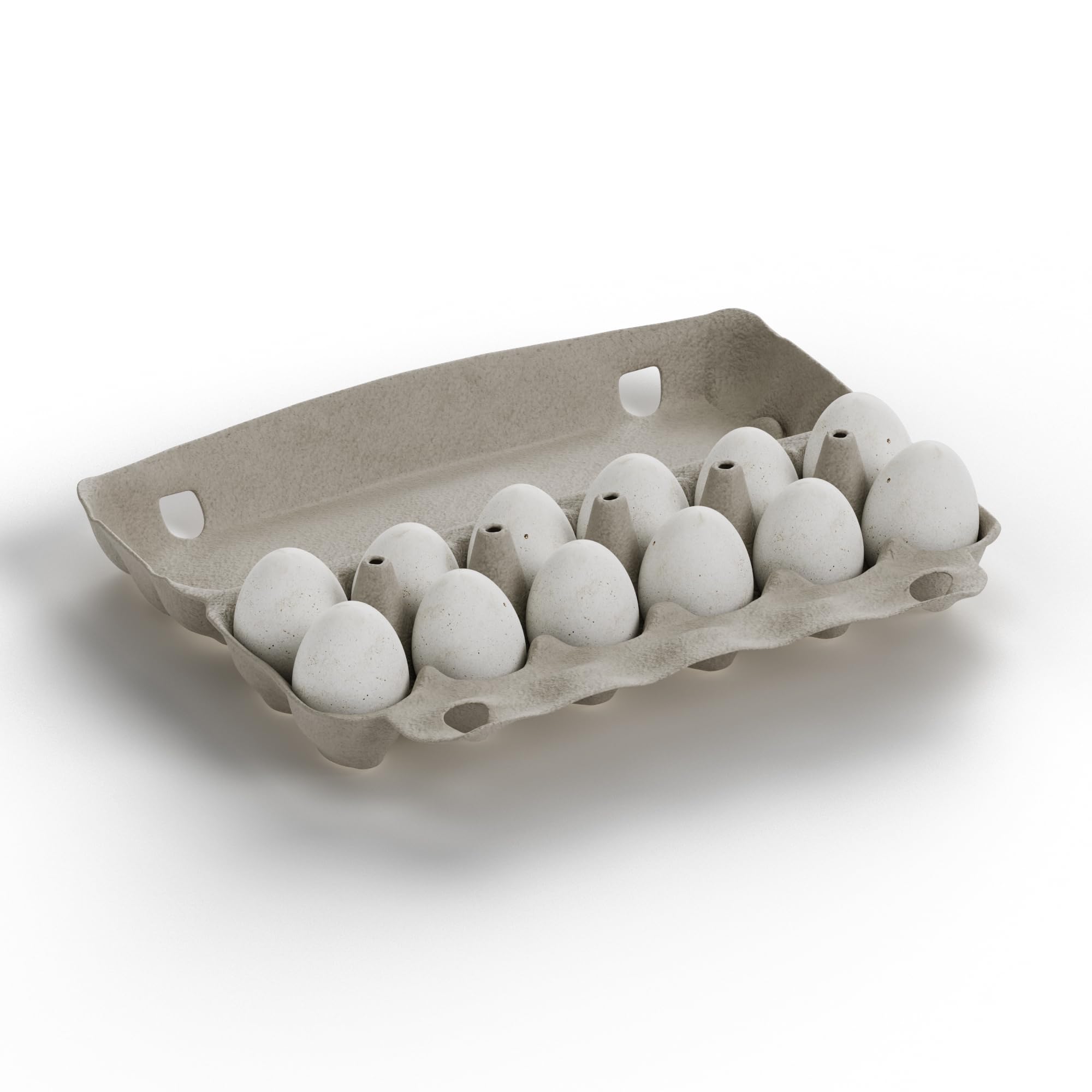 Auriga PACK of 240 | Bulk Egg Cartons - 1 Dozen Capacity | Recycled Molded Pulp Strong Cardboard Material (240)