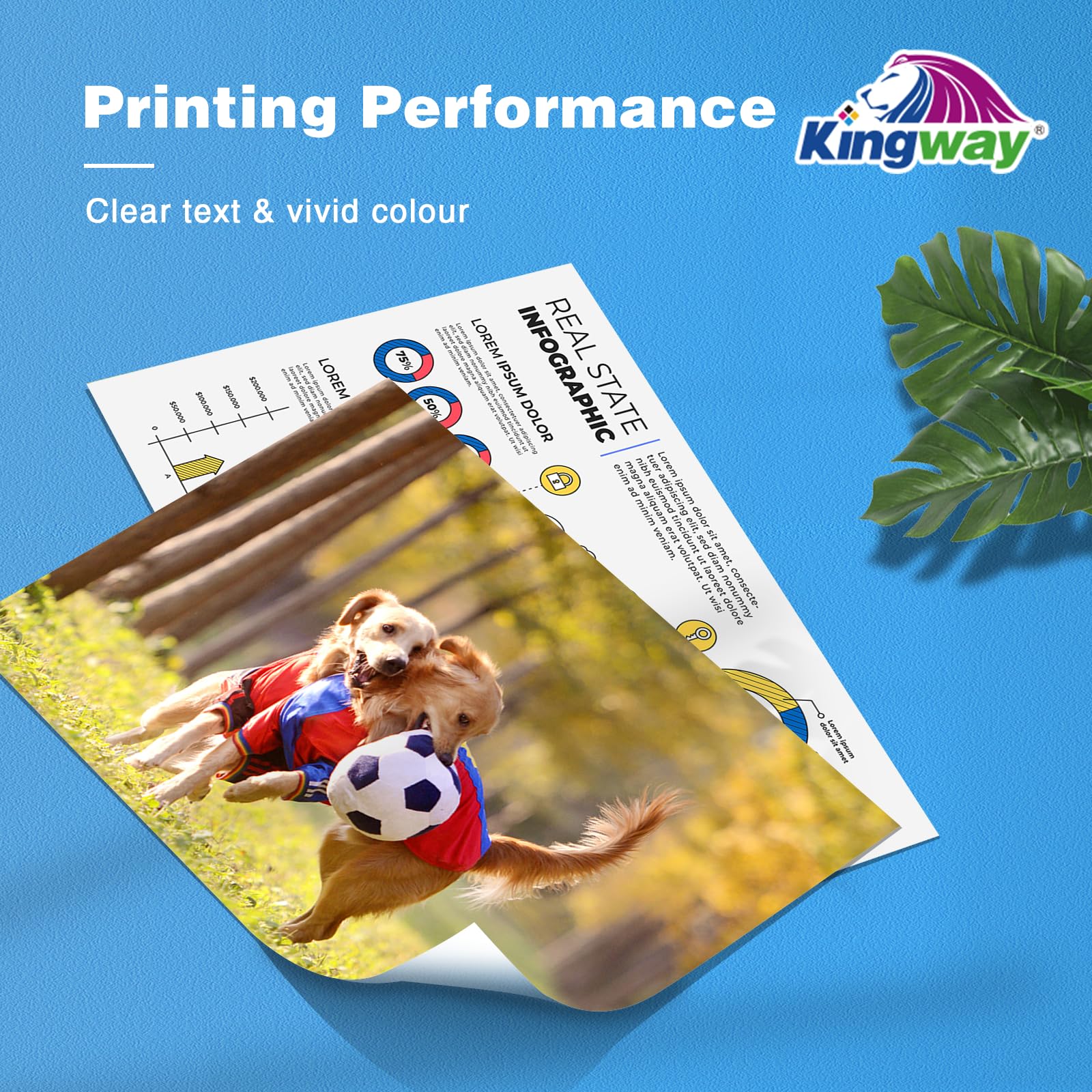 972X Ink Cartridges | Replacement for HP 972X Ink Cartridges | Work for HP 477dw 577dw 452dw 552dw 552dn 477dn 577z 452dn Pagewide Printer | 4-Pack