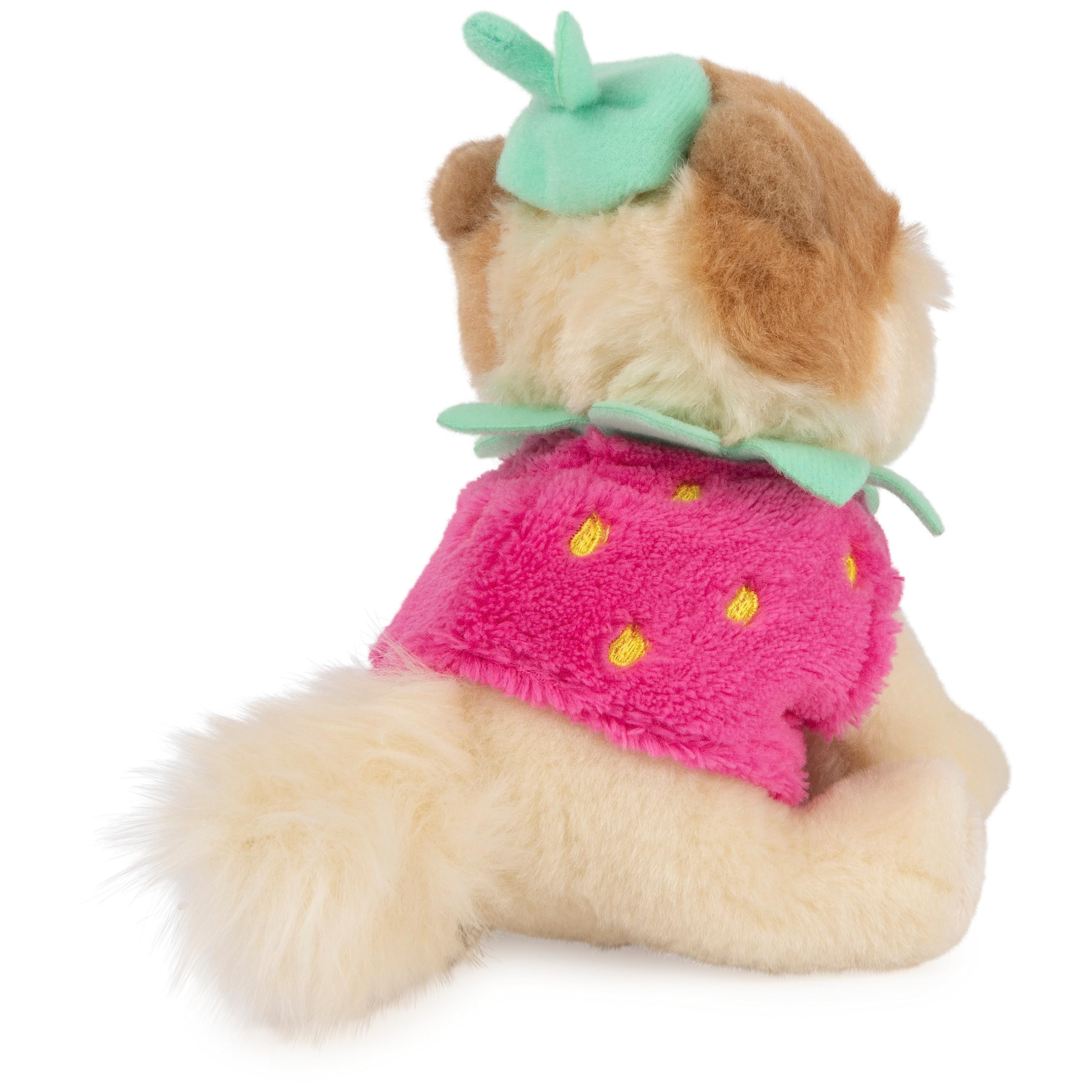 GUND Boo, The World’s Cutest Dog Strawberry Plush Toy, Pomeranian Stuffed Animal for Ages 1 and Up, Spring Decor, 5”