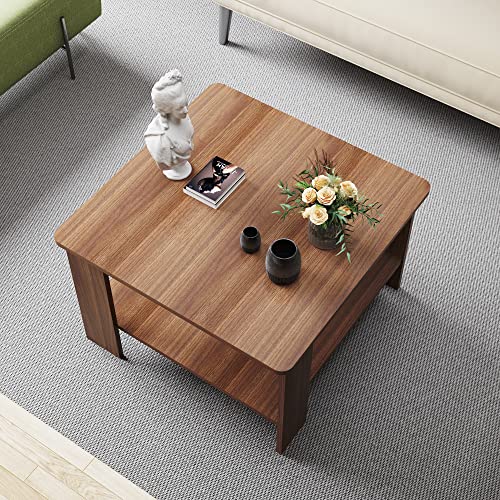 WAHEY Coffee Table, 2-Tier Simple Living Room Table with Storage Shelf, LRCT001