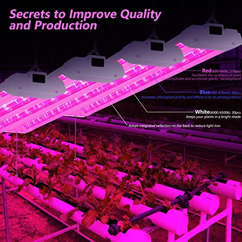 ANTLUX 4ft LED Grow Lights 50W Full Spectrum Integrated Growing Lamp Fixtures for Greenhouse Hydroponic Indoor Plant Seedling Veg and Flower, Plug in, ON/Off Pull Chain Included