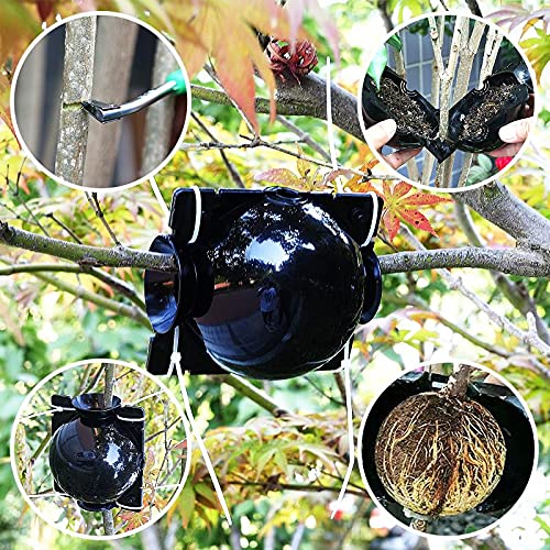 9pcs Plant Rooting Ball, Plant Root Device Growing Box, Assisted Cutting High-Pressure Propagation Ball, Reusable Grafting Controller Air-Layering for Plants Asexual Reproduction(3L+3M+3S, Black)