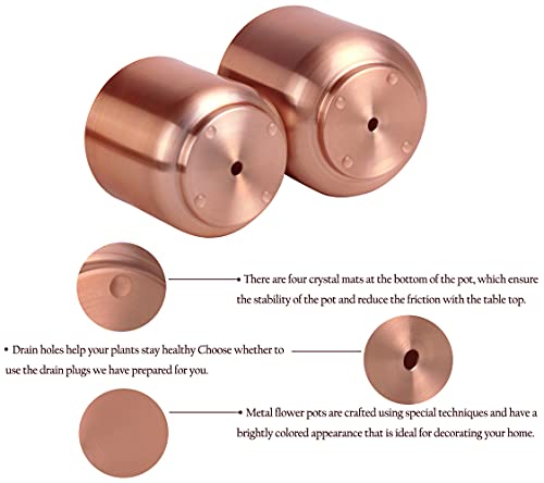 Vixdonos Copper-Tone Metal Succulent Planter Pots, 6/5.2 Inch Plant Pots Pack 2 Flower Pots Indoor with Drainage Hole