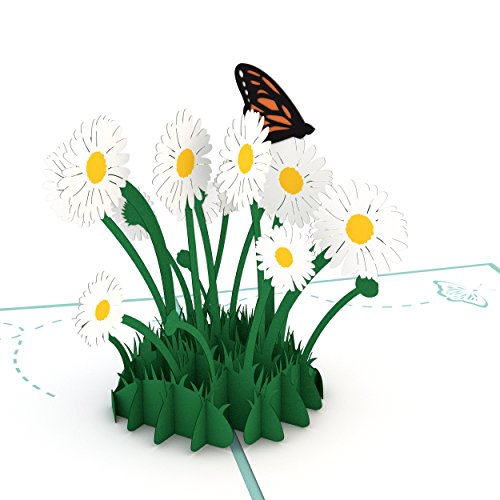 Lovepop Daisy Patch Pop Up Card - 3D Card, Greeting Card, Flower Card, Anniversary Card, Mother's Day Card, Birthday Card, Appreciation Card (Retiring Design)