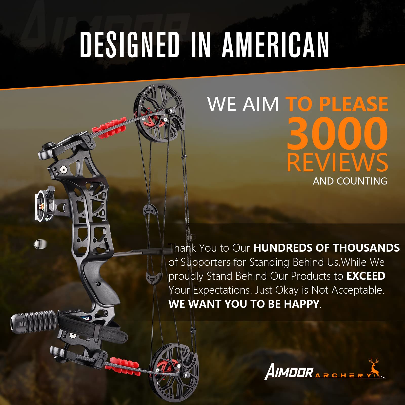 Aimdorarchery Compound Bow Kit with 100 Pcs Steel Balls 23.5”-28.5”Draw Length,30-60 Lbs Draw Weight up to 345 fps No Bow Press Needed Limbs Made in USA
