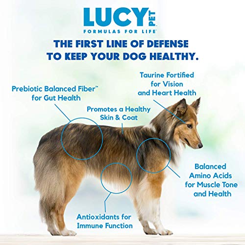Lucy Pet Products Duck, Pumpkin, and Quinoa, 4.5 lb, Model:850657006494