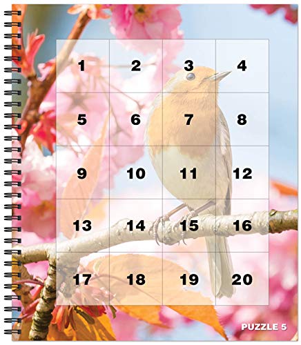 Brain Games - Sticker by Number: In the Garden (Easy - Square Stickers): Create Beautiful Art With Easy to Use Sticker Fun!