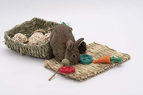 PStarDMoon Bunny Grass Bed-Hand Made Edible Natural Grass Hideaway Comfortable Playhouse for Rabbits, Guinea Pigs and Small Animals to Play,Sleep and Eat(style1)