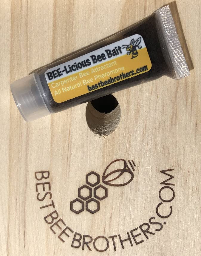 Bee-Licious Bee Bait All Natural Carpenter Bee Lure Attracts More Carpenter Bees to Your Carpenter Bee Traps