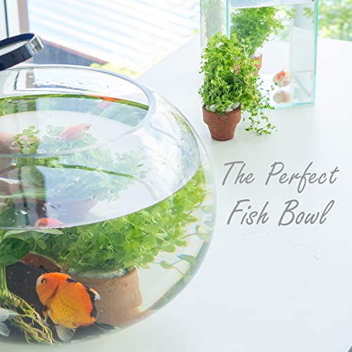 CYS EXCEL Large Glass Bubble Bowl (H-13.5" W-15.25", Approx. 9 Gal.) | Multiple Size Choices Fish Bowl Vase | Glass Round Bowl Terrarium | Globe Flower Vase Centerpiece