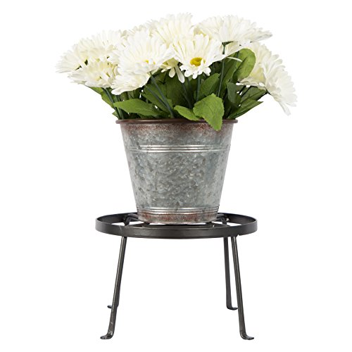 Achla Designs FB-30 Argyle Wrought Iron Plant Stand, 8-inch H, Graphite