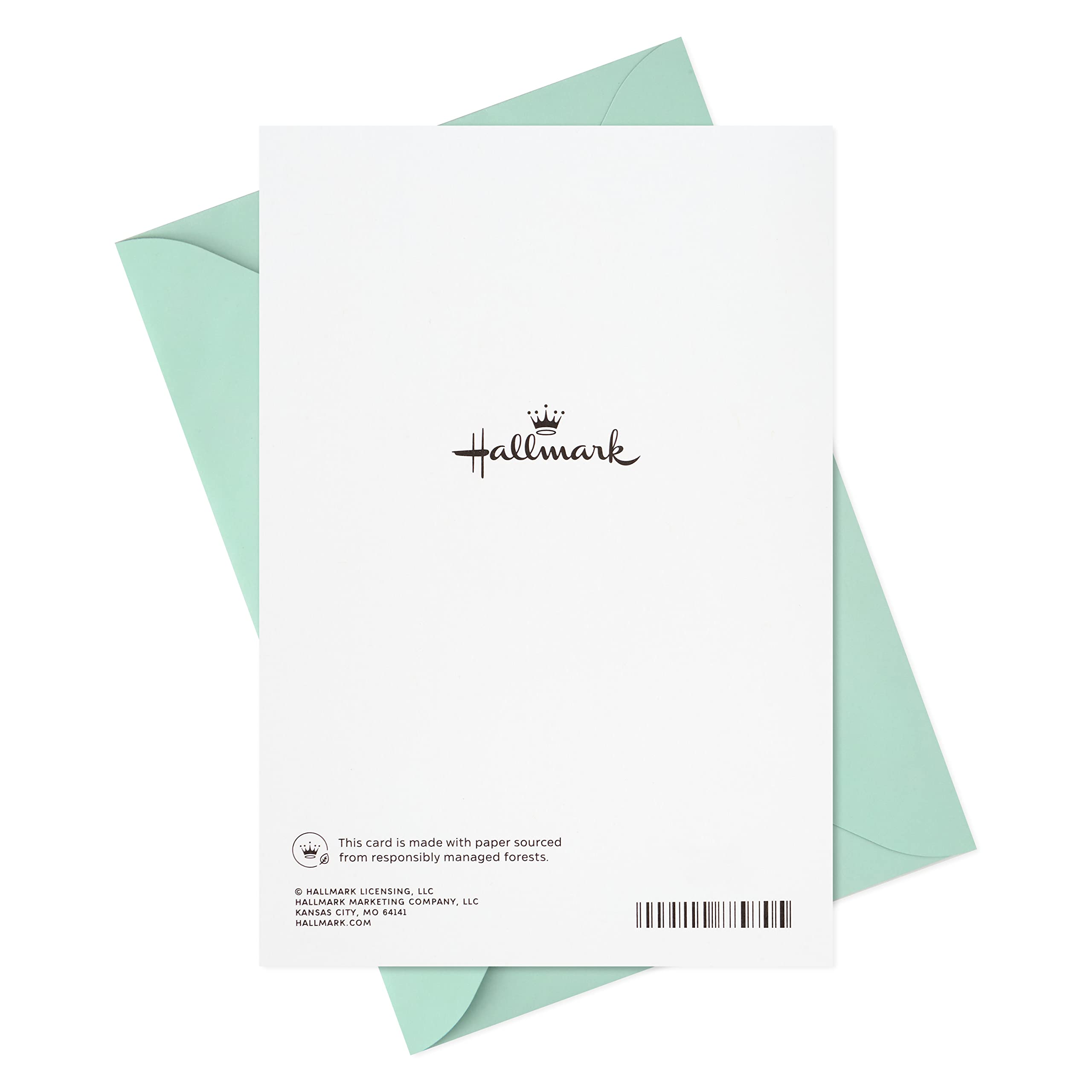 Hallmark Card for Sister for Mothers Day, Birthday, Thinking of You, Congrats, Any Occasion (Love and Pride)