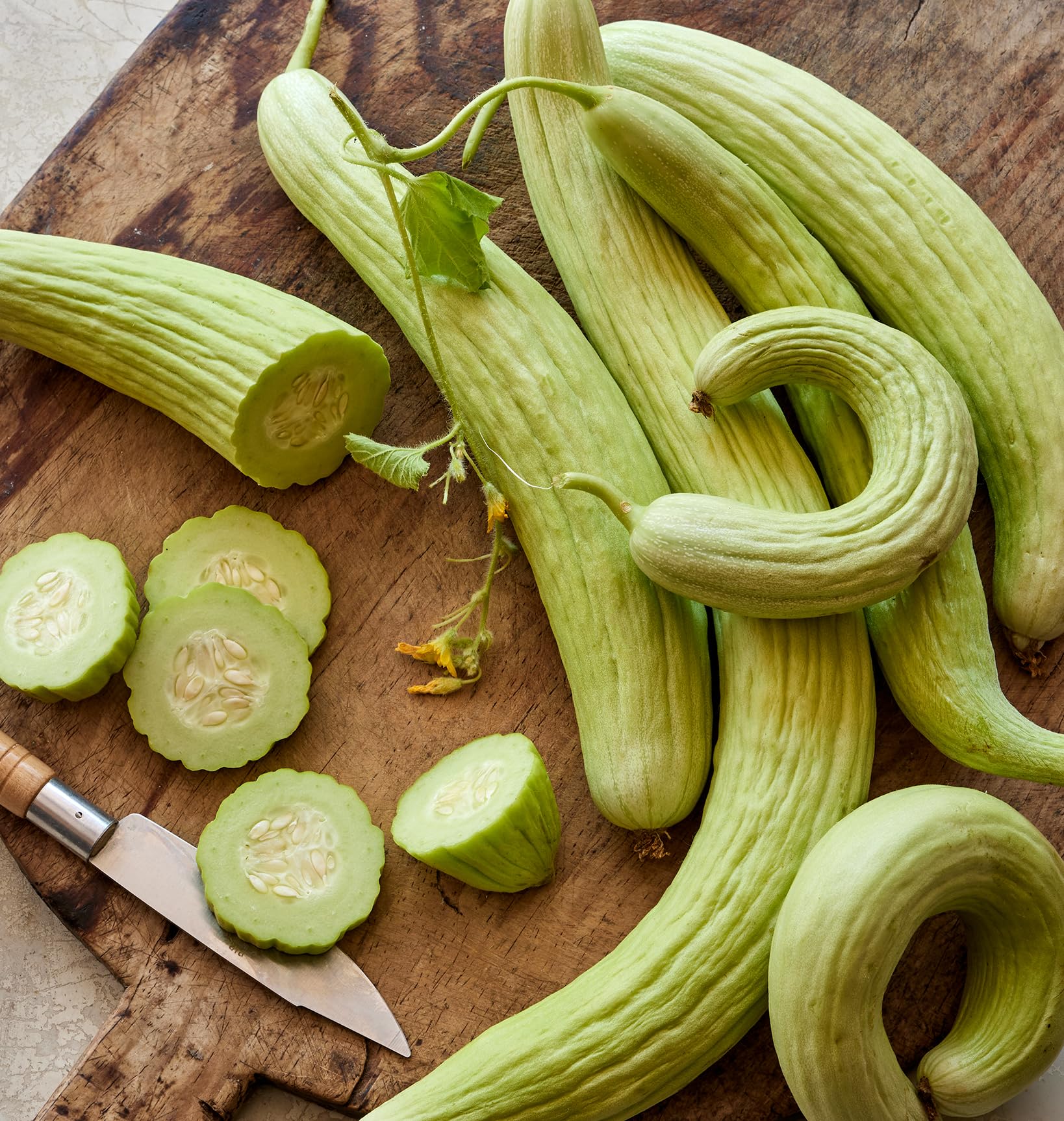 Burpee 'Armenian' Cucumber Seeds, 100 Non-GMO seeds, Heirloom