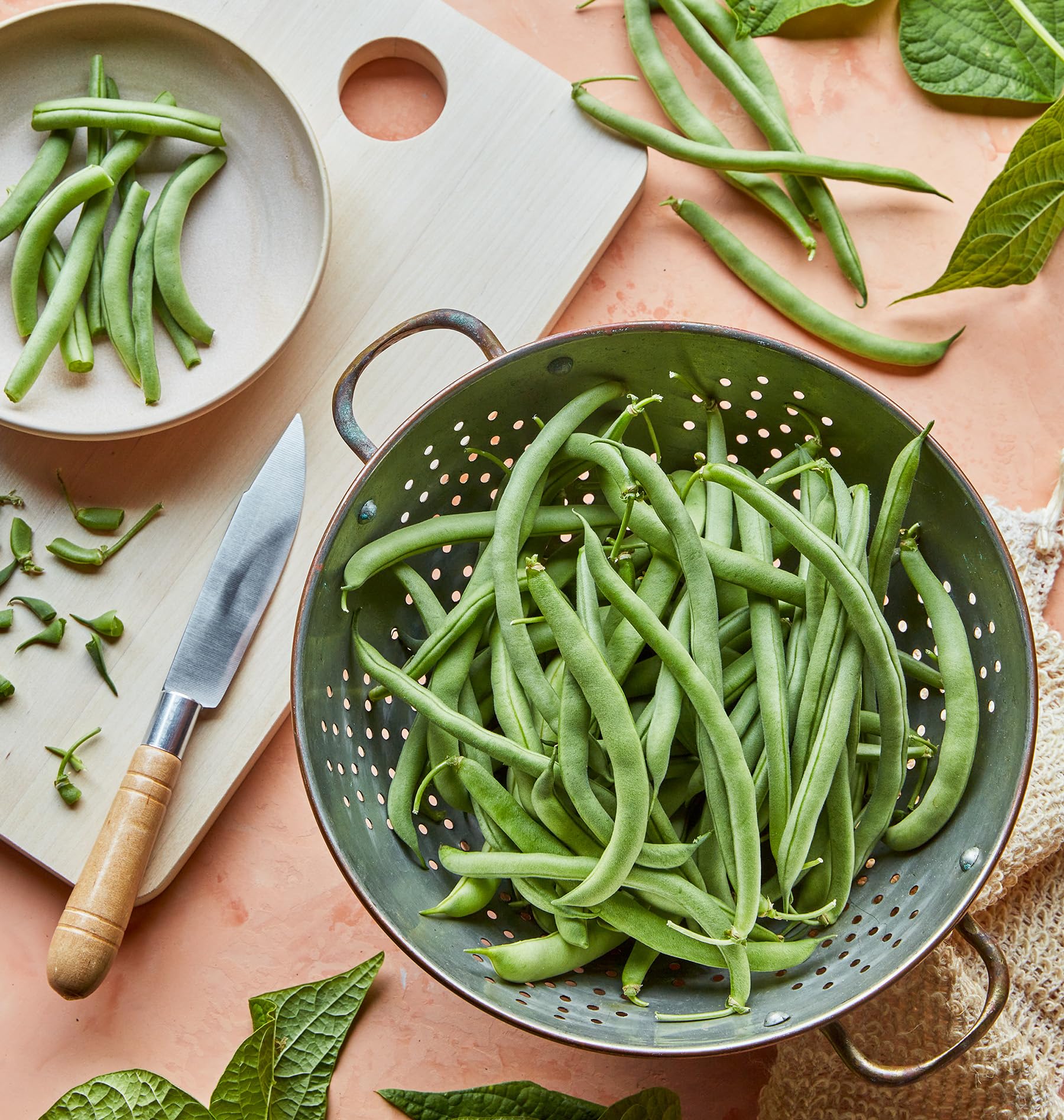 Burpee Blue Lake 47 Bush Bean Seeds 2 ounces of seed