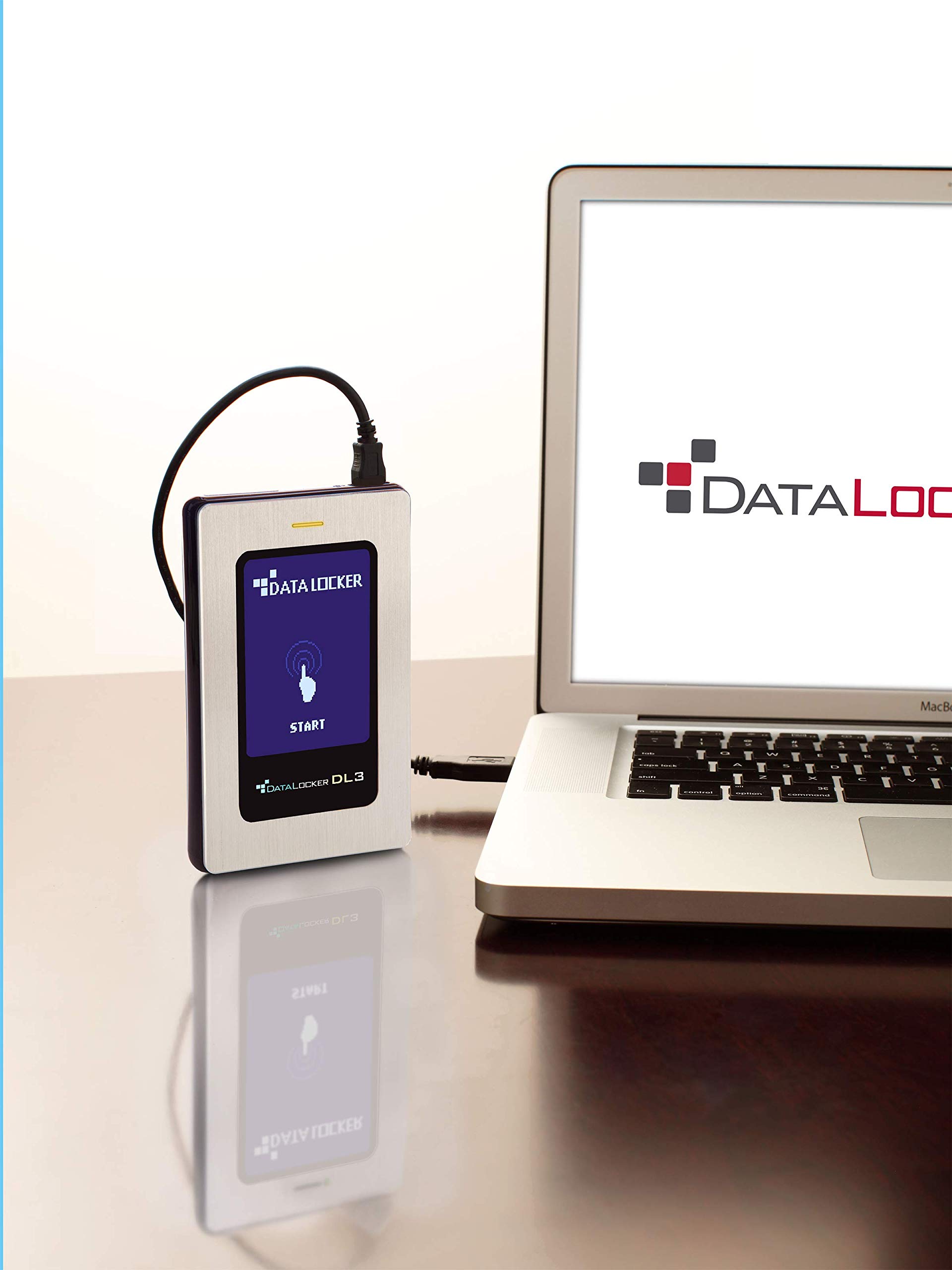 DataLocker 3 FE (FIPS Edition) - Hard Drive - 500 GB - USB 3.0, Silver (FE0500)