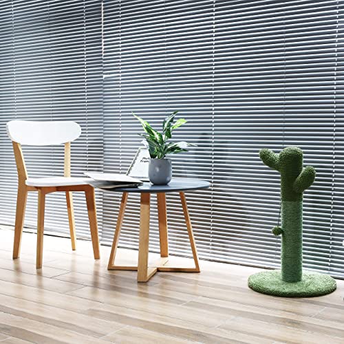 PetnPurr Cactus Cat Scratcher β Protect Your Furniture with Our Natural Sisal Cat Scratching Post with Teaser Ball Cat Toy