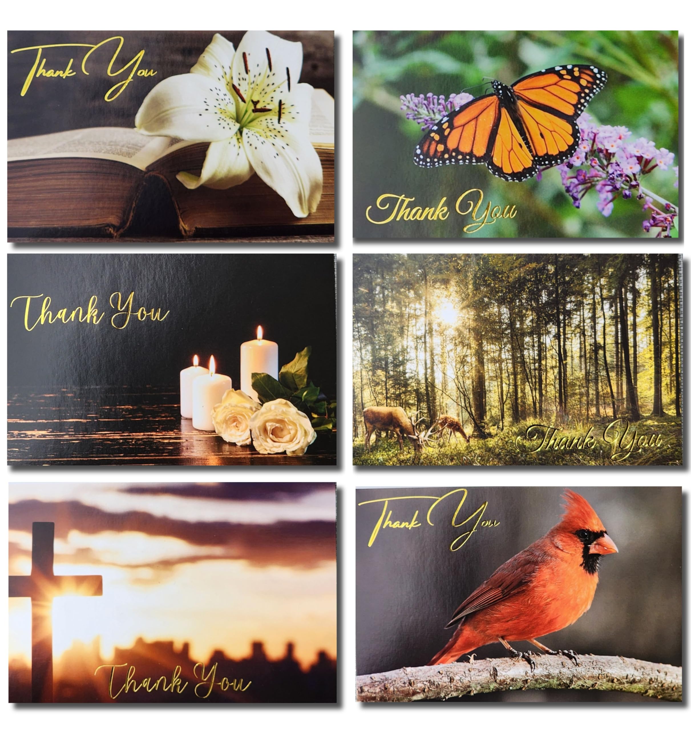 Asiren Greetings Sympathy Thank You Cards - Funeral Thank You Cards - 12 Beautiful Designs with Gold Foil, Message Inside, and Envelopes
