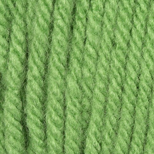 Caron One Pound Solids Yarn, 16oz, Gauge 4 Medium, 100% Acrylic - Grass Green- For Crochet, Knitting & Crafting ( 1 Piece )