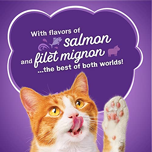 Purina Friskies Dry Cat Food, Surfin' & Turfin' Favorites - (4) 3.15 lb. Bags