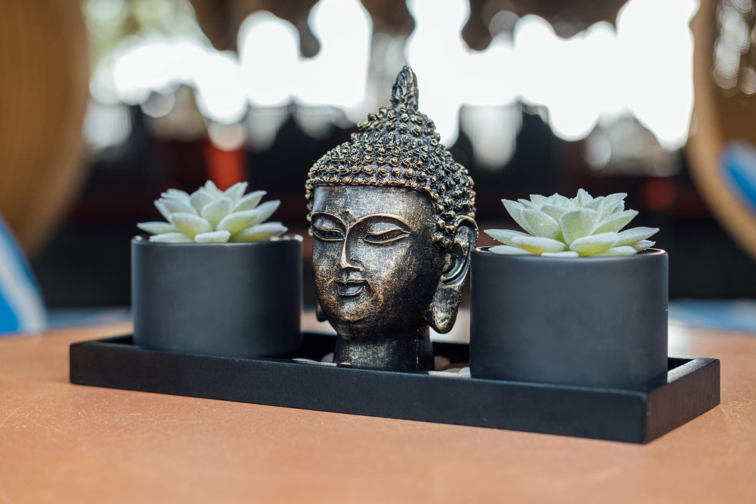 Buddha Statue & Succulent Zen Garden Set- Buddha Head Statue w/ Wooden Display Tray & Stones| Buddha Decor For Home Decor. Beautiful & Peaceful. Great Meditation Gifts.
