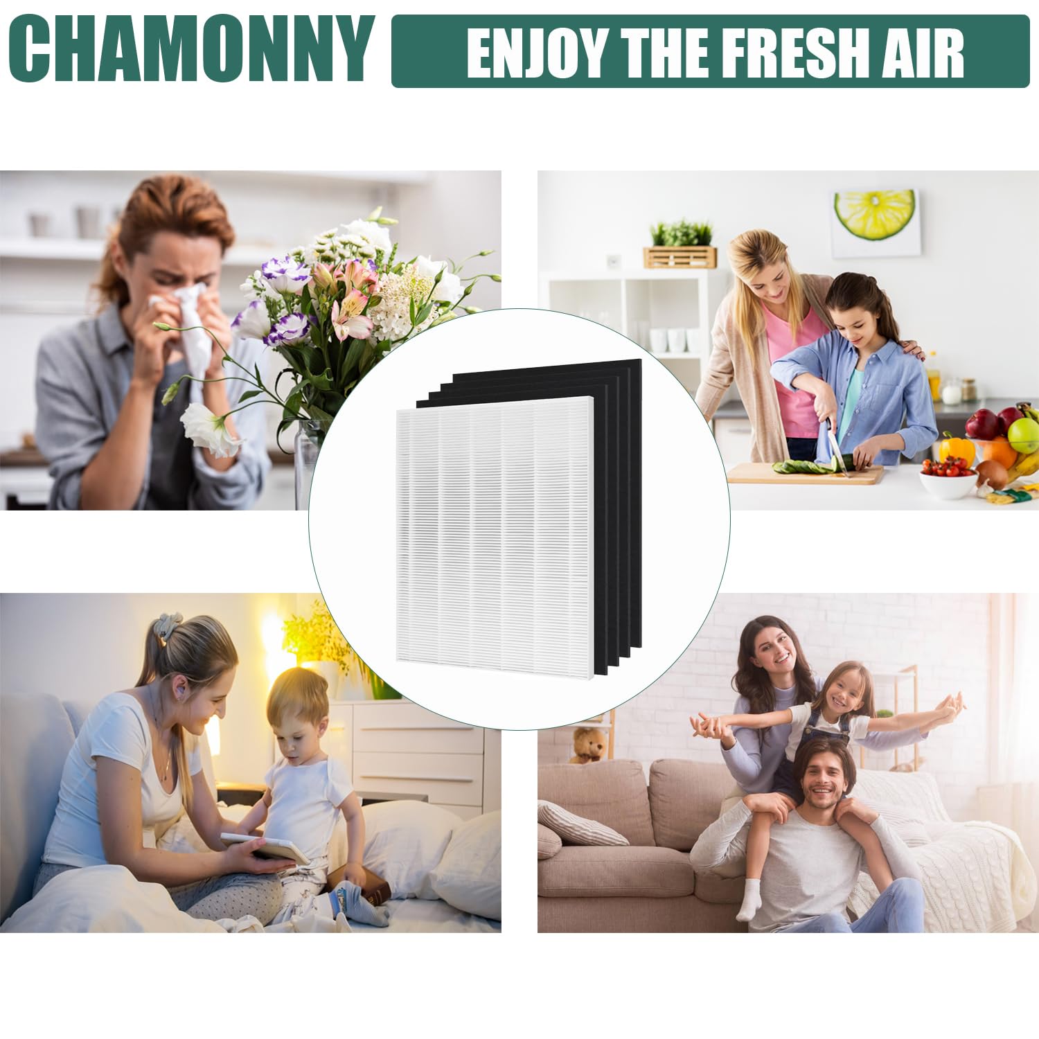 CHAMONNY D480 True HEPA Replacement Filter D4, Compatible with Winix D480 Air Purifier, Compare to Winix D4 Filter, Item Number 1712-0100-00, 2 H13 True HEPA Filters + 8 Activated Carbon Pre-Filters