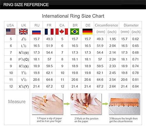 925 Sterling Silver Shiny Full Diamond Ring Cubic Zirconia Flower Ring CZ Diamond Ring Personality Ring for Women Luxury and Delicate Female Style Wedding Engagement Princess Ring Jewelry (US Code 6)