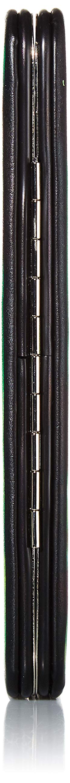 Buckle-Down Women's Hinge Wallet-The Princess and The Frog Dr. Facilier, 7" x 4"